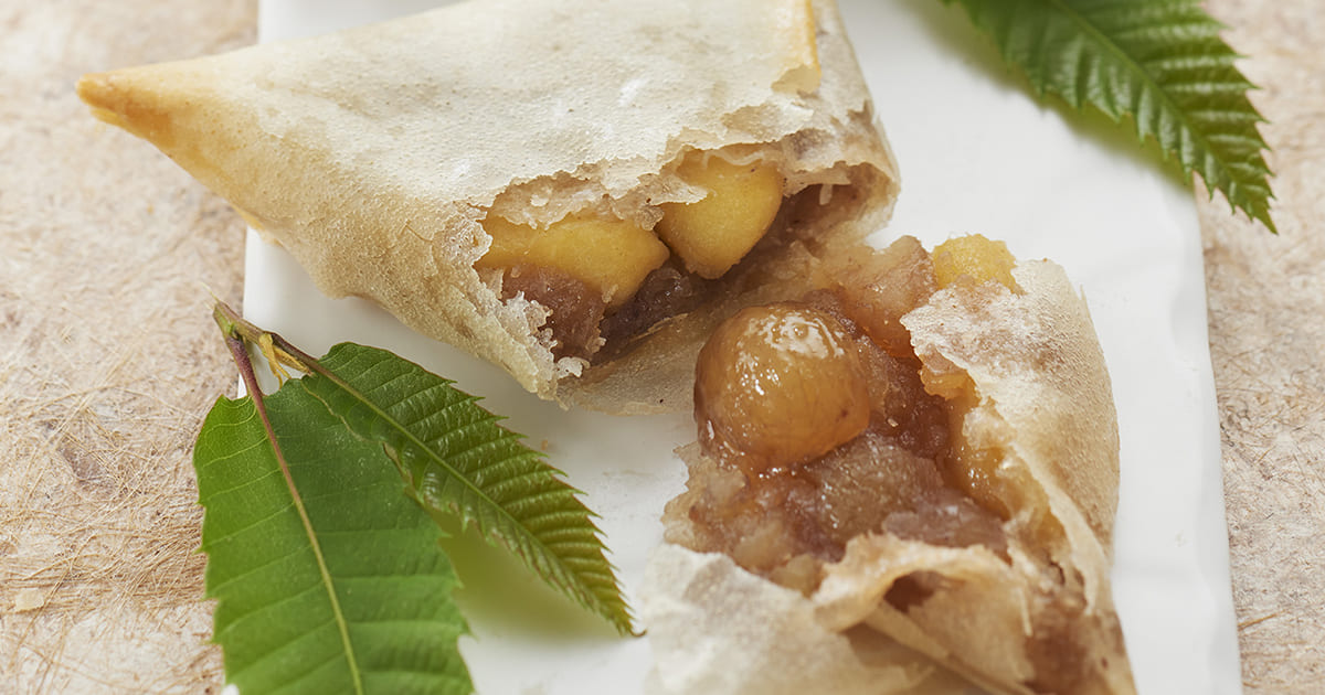 Recette Bricks pommes-châtaignes | Sabaton.fr